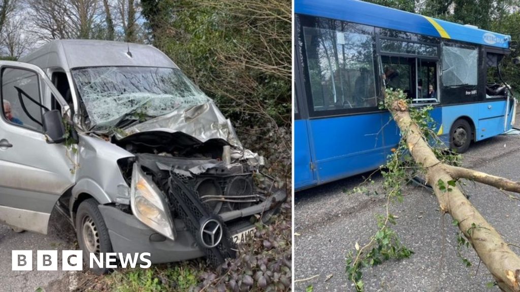 Horsham: Man speaks of horror after tree falls on bus and van - BBC News