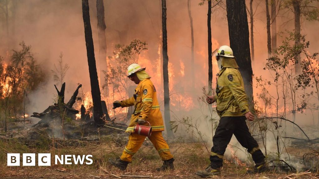 News Daily: Australian bushfires and rail fare rise - BBC News