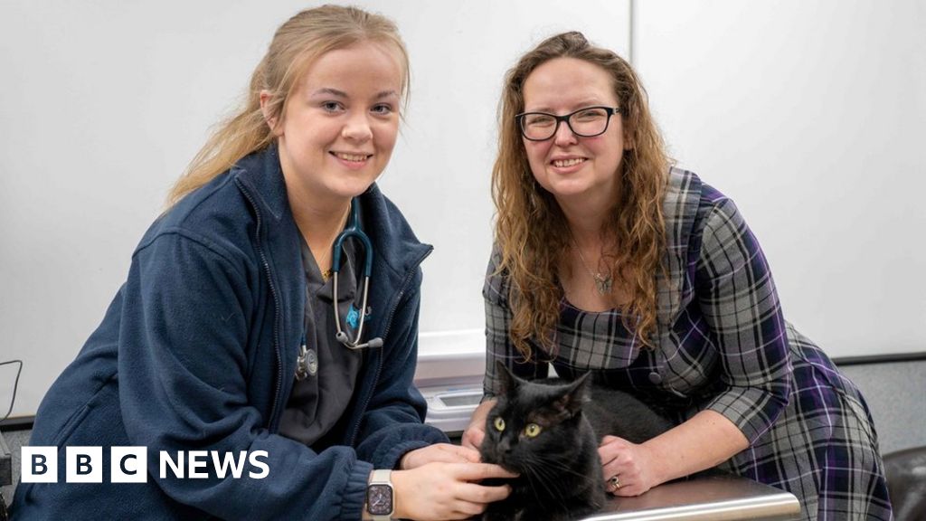Doncaster vet reunites cat missing for four years with owners - BBC News