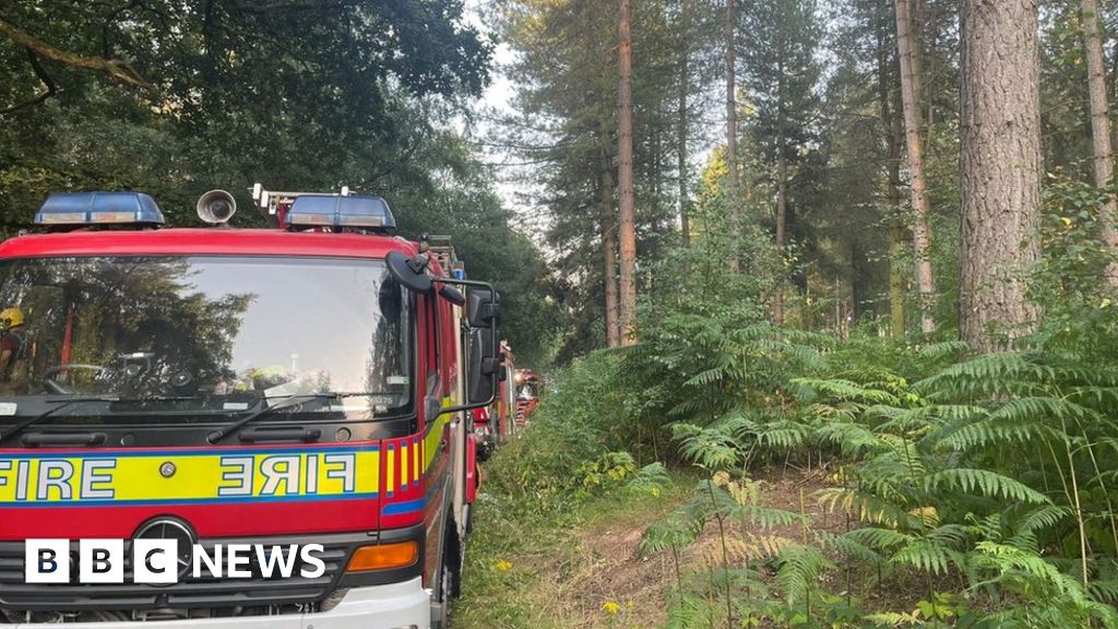Delamere Forest: Firefighters tackle 'deep-seated' blaze - BBC News