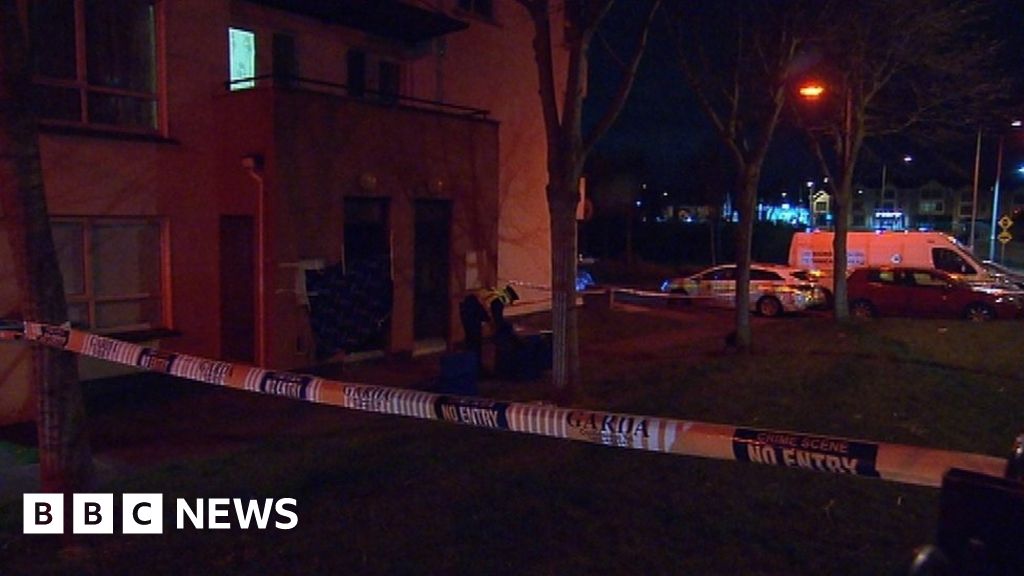 Man dies after suspected stabbing in Dublin - BBC News