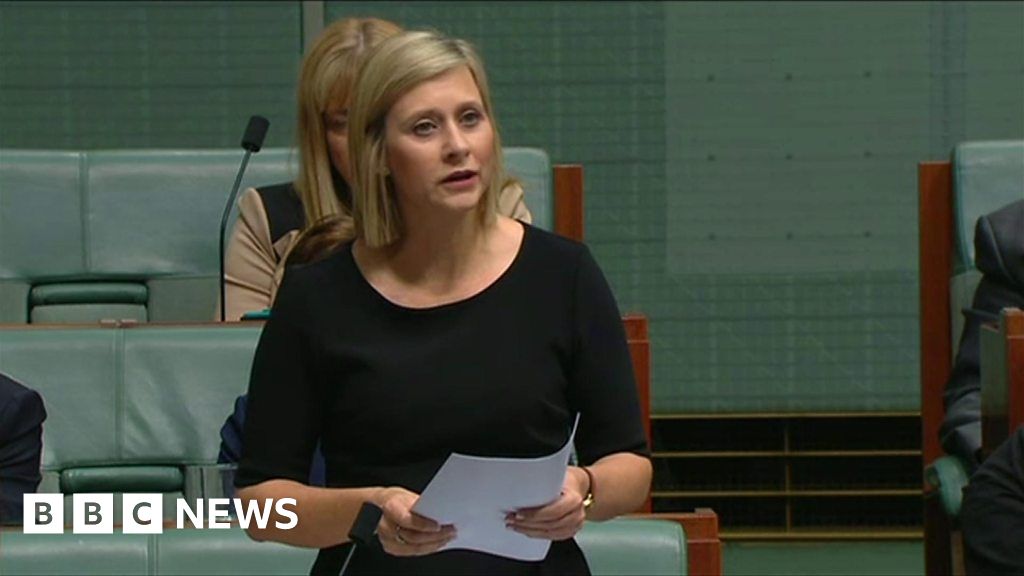 Susan Lamb: Australia MP tells of traumatic past