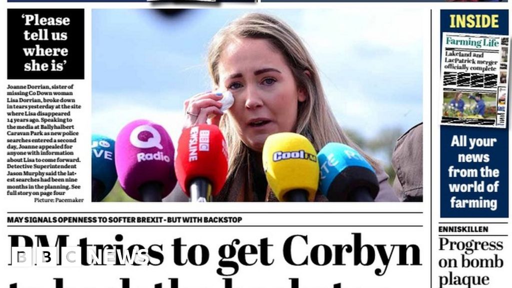 NI newspaper review: Parade route homes and a rescued poodle - BBC News