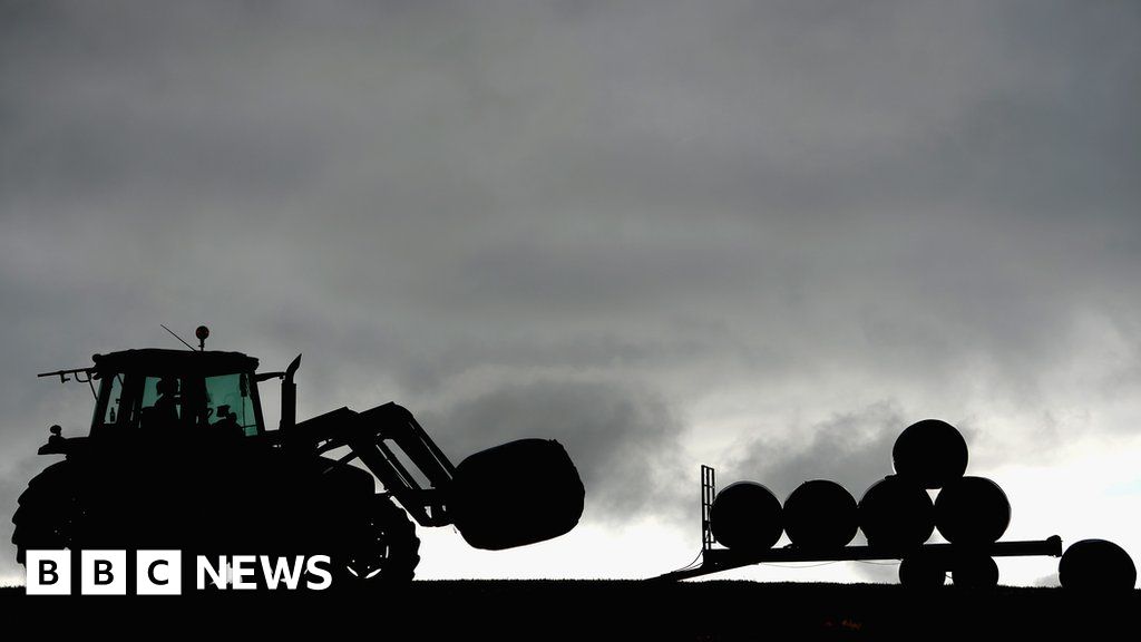 'Lack of available land' a barrier to new farmers in Scotland - BBC News