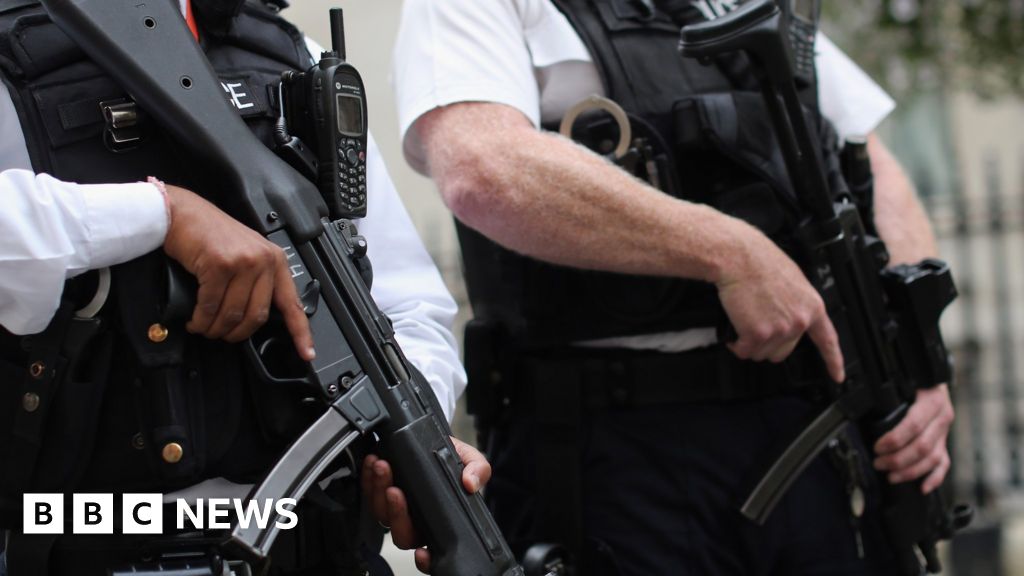 Met Police to get 600 more armed police to boost terror response - BBC News