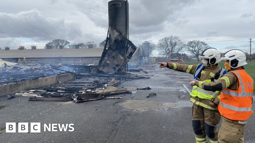 Thousands of ducklings die in Caistor blaze - BBC News