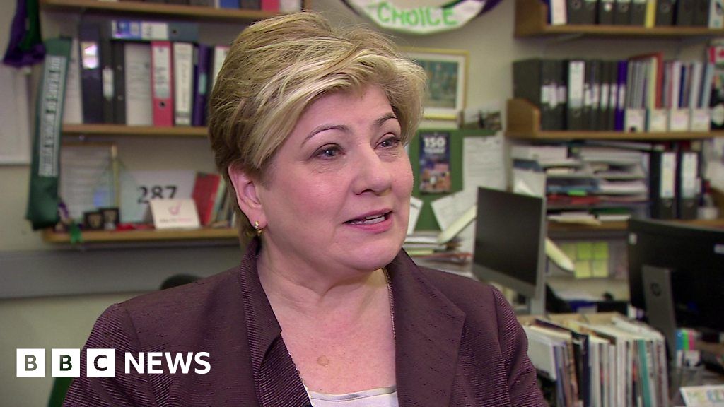 Corbyn 'badly let down' by advisers, says Thornberry