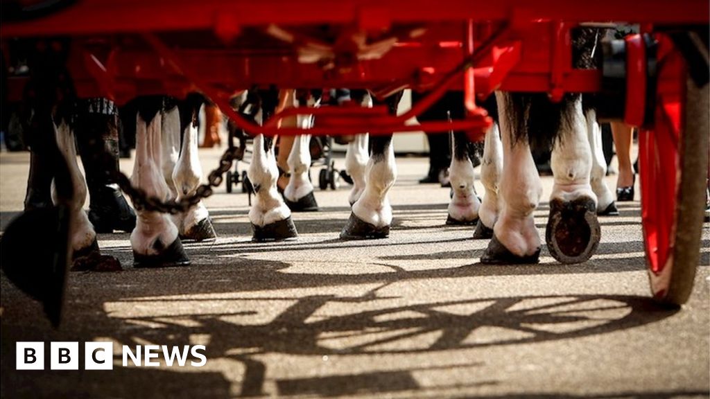 Royal Mail marks 500 years with coach parade in Cardiff - BBC News