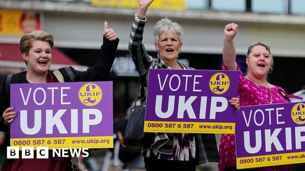 From Farage to Batten: What happened to UKIP's class of 2014? - BBC News