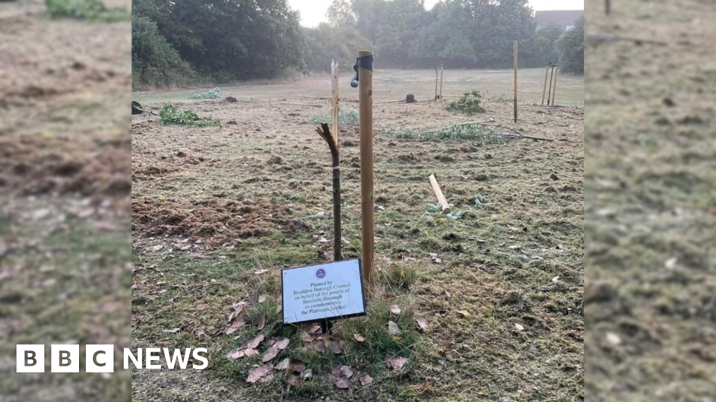 Laindon trees vandals should face 'hellfire and blood' - council leader ...