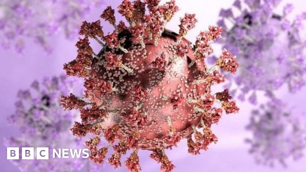 First cases of Omicron discovered in Wiltshire