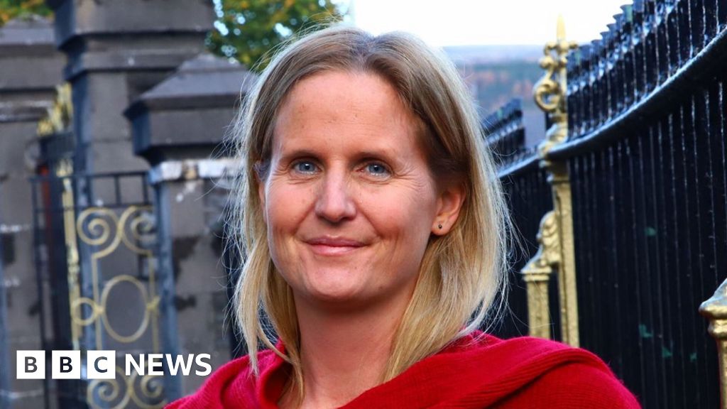 Labour MP calls new seat selection method undemocratic