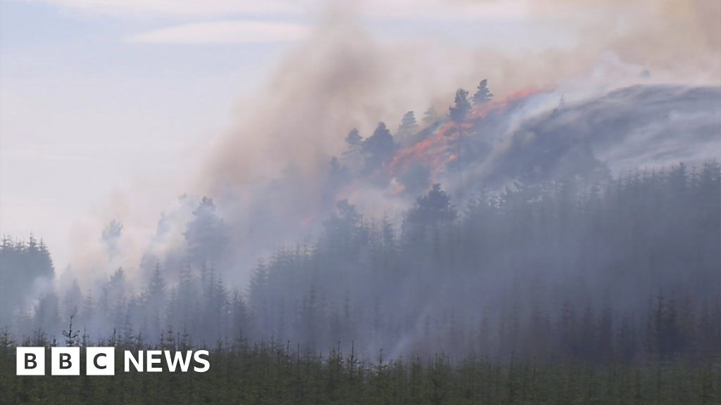 Crews tackling wildfire near Highland caravan park