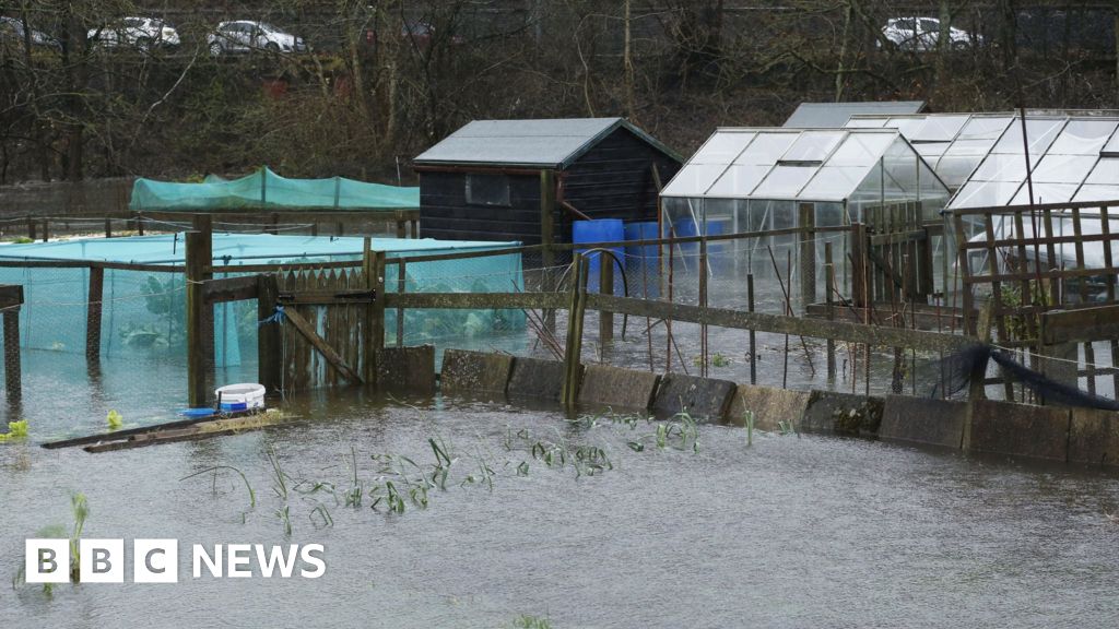 Public input urged over Hawick flood plans - BBC News
