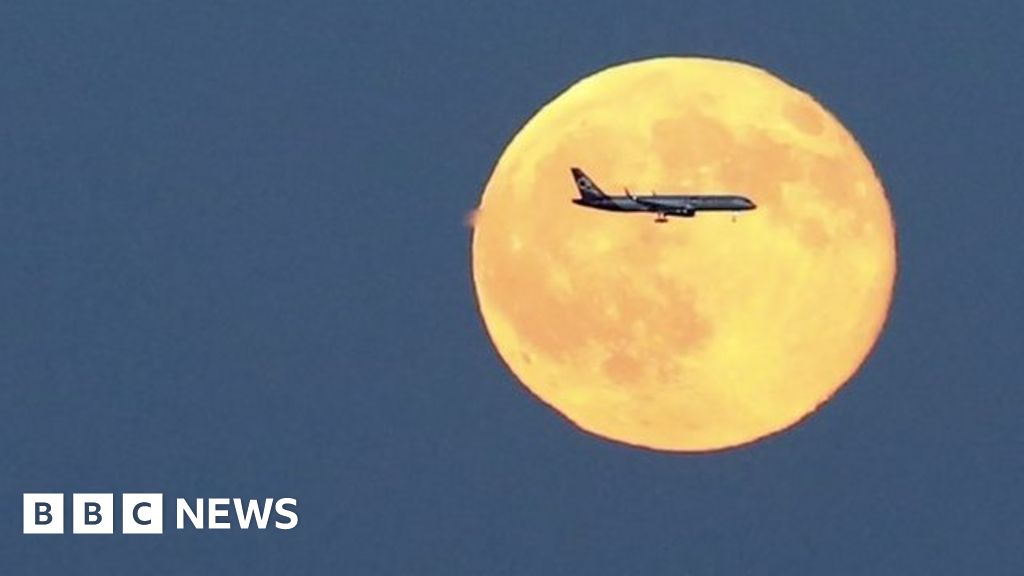 Striking images of 'blue moon' from around the world - BBC News