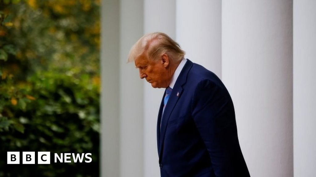 Donald Trump gives White House press conference - BBC News