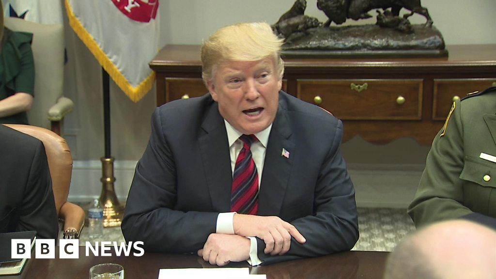 Trump: Boeing 737 Max planes grounded - BBC News