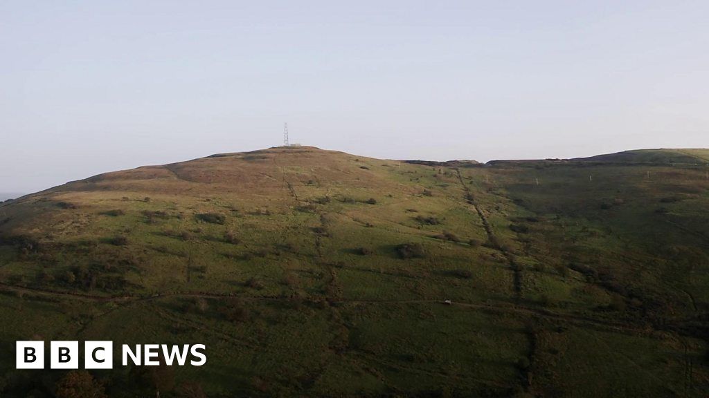 Belfast set for 250-acre woodland development - BBC News