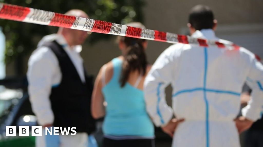 Germany shooting: Man arrested over two deaths - BBC News