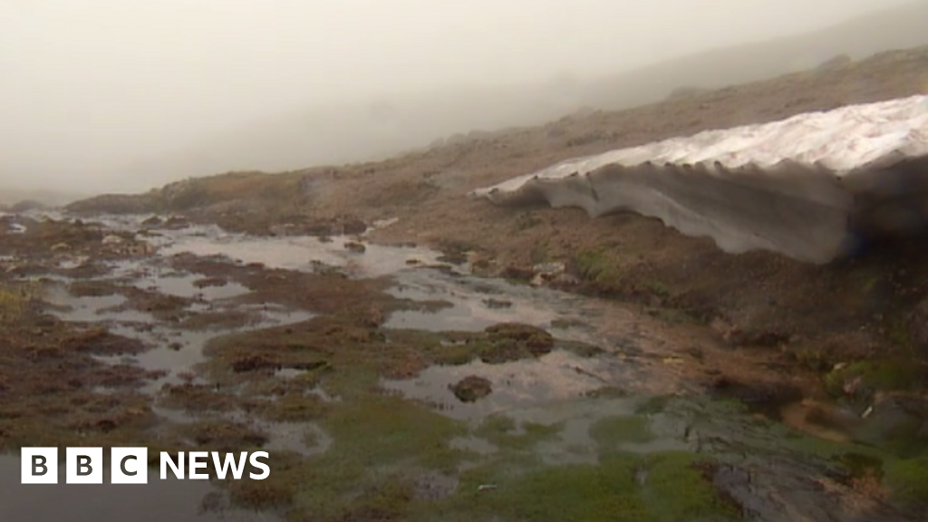 'Snow spot census' being carried out on Scottish hills - BBC News