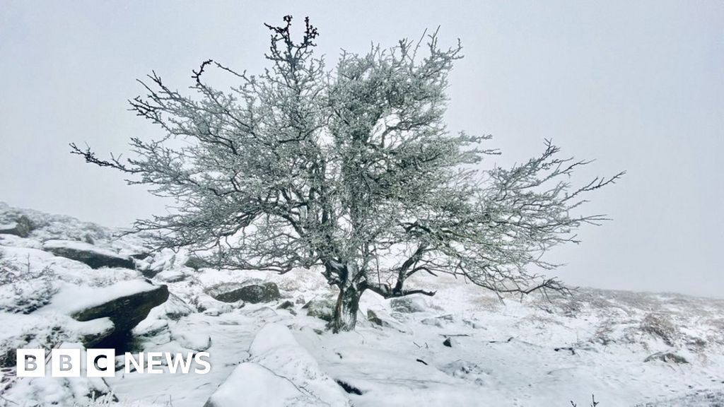 Snow in north and east Devon as weather warning remains - BBC News