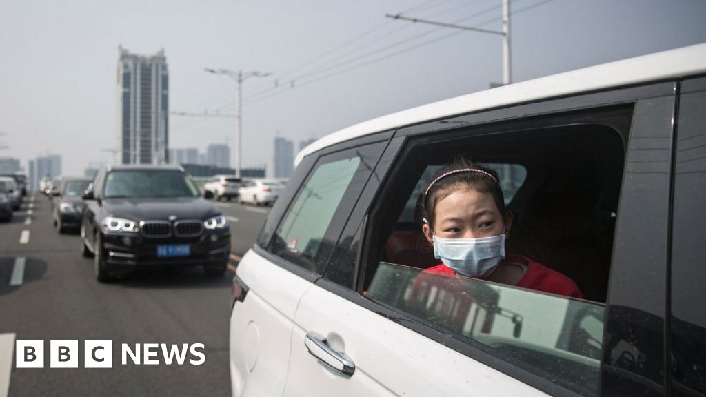 Are 'anti-virus' cars in China just a gimmick? - BBC News