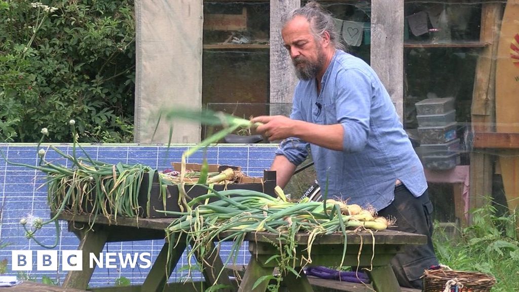 Landmatters eco-community in Devon wins fight to remain - BBC News