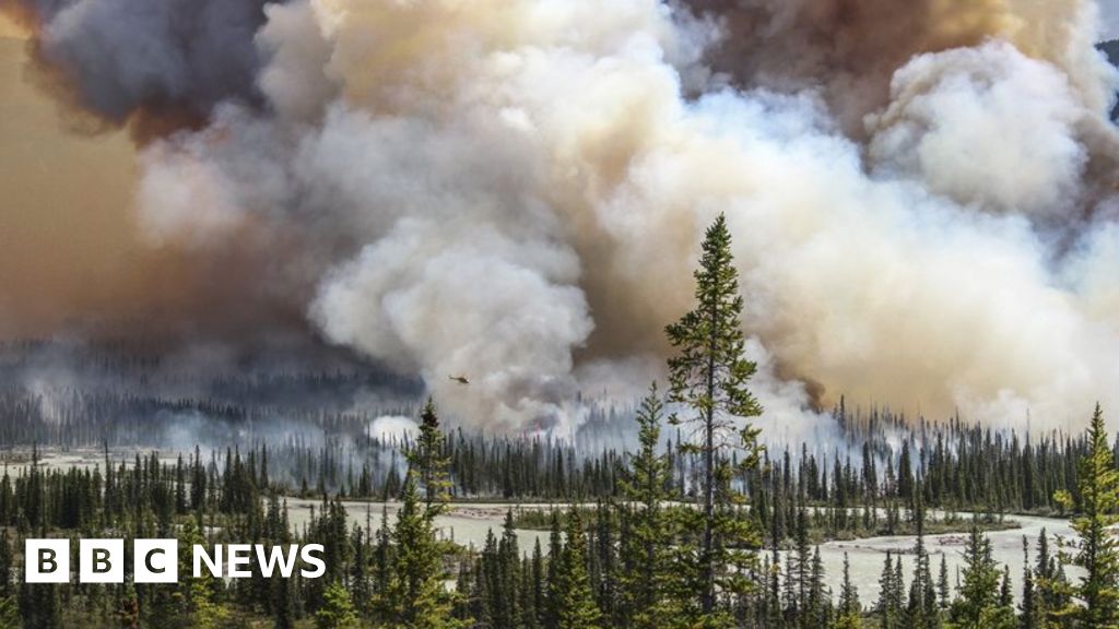 Environmental photography winners announced - BBC News