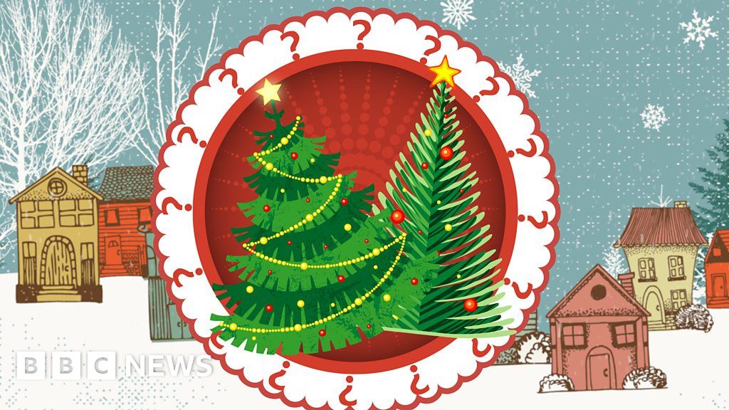 Reality Check: Your Christmas tree's carbon footprint