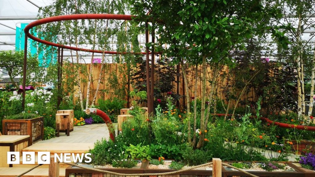 Group wins silver-gilt medal at Chelsea Flower Show - BBC News