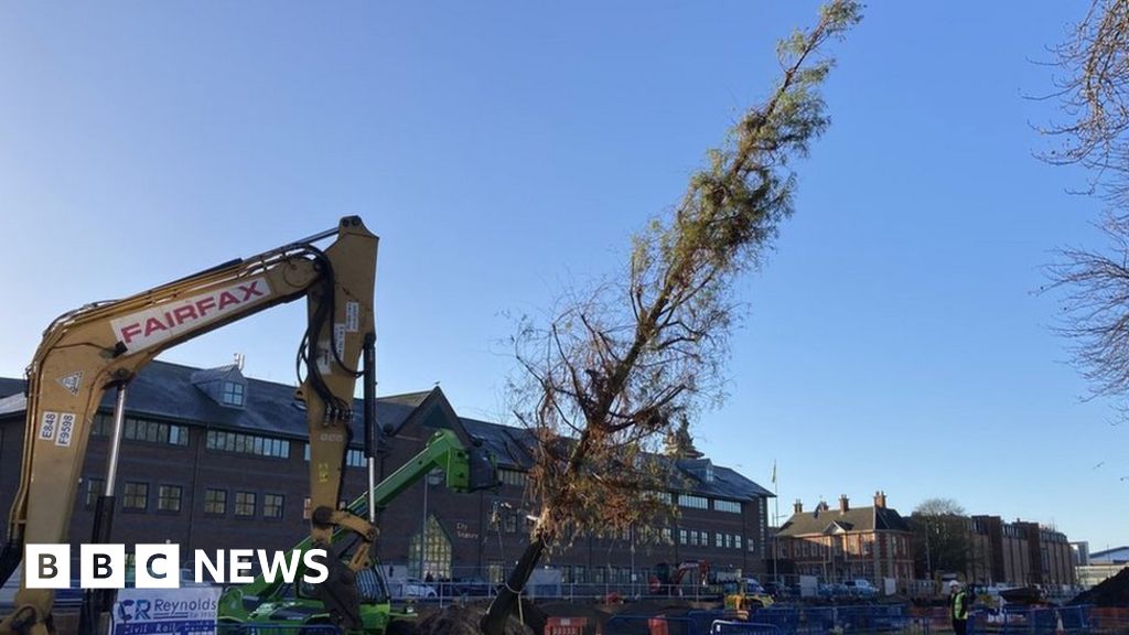 First of 99 new trees planted in Hull's Queens Gardens - BBC News