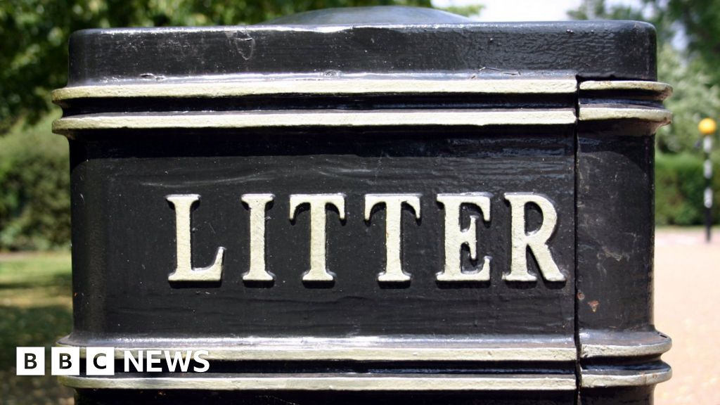 Ruthin residents pick up elderly woman's £75 litter fine - BBC News