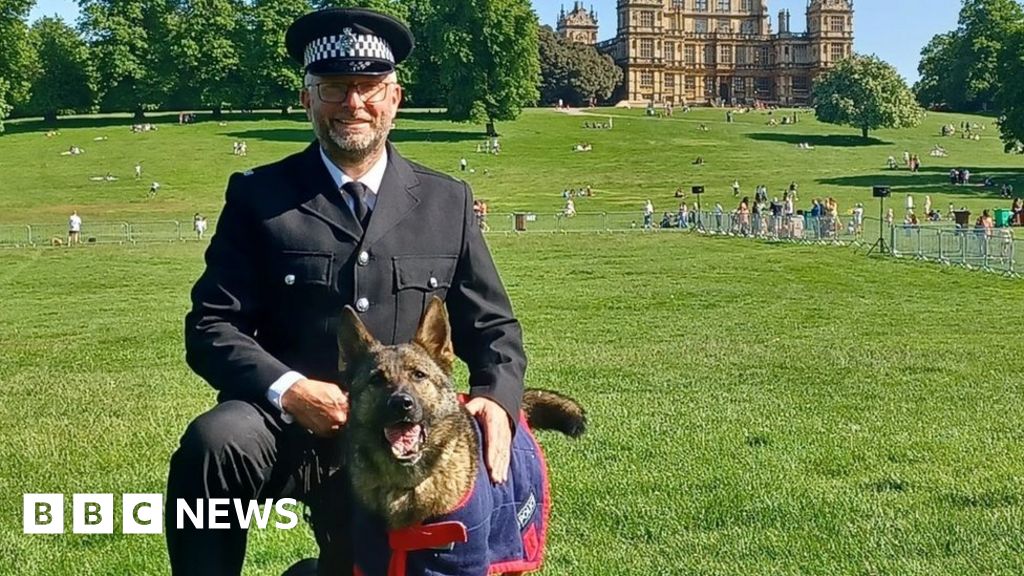 Somerset police hound is top dog at national canine trials - BBC News
