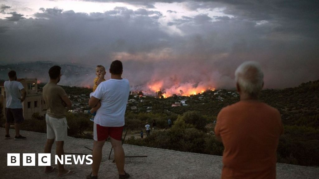 In pictures: Wildfires devastate Greek region