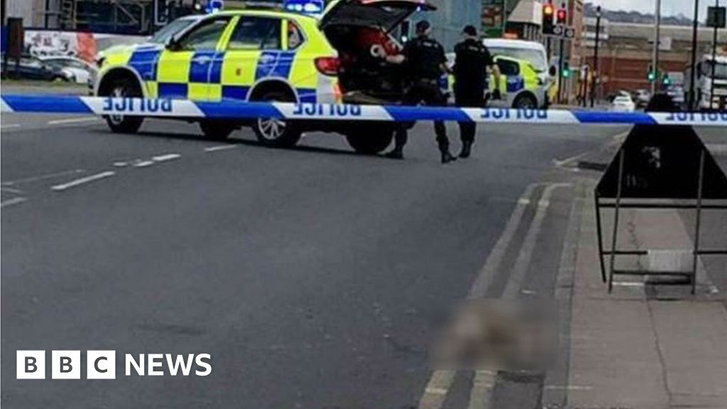 Police shoot dogs after man and woman bitten in Bolton - BBC News