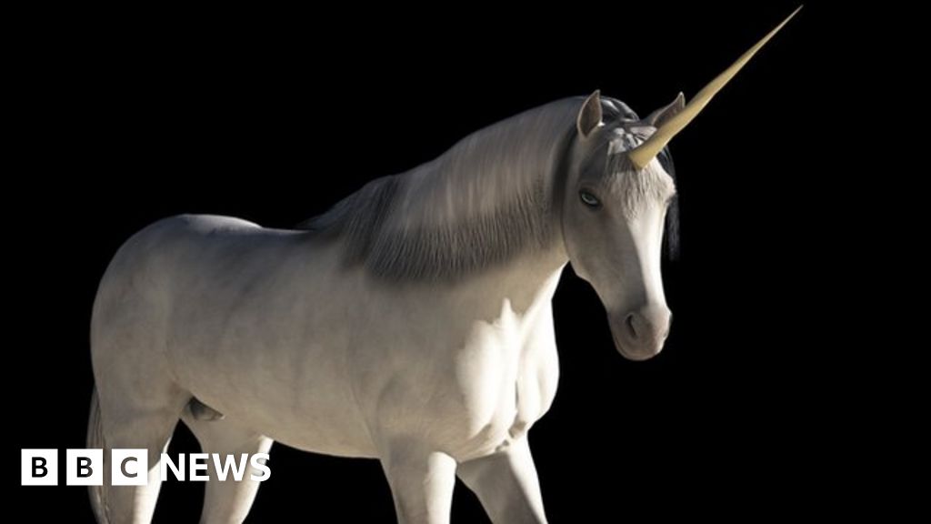 A Billion Dollar Bet The Difficulty Of Leading A unicorn Firm BBC News a-billion-dollar-bet-the-difficulty-of-leading-a-unicorn-firm-bbc-news