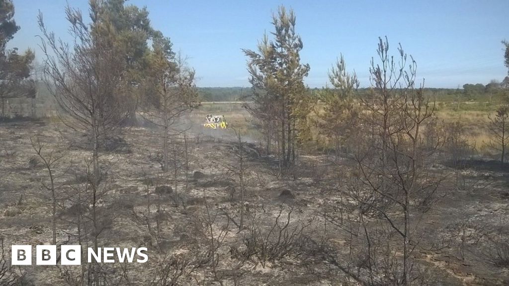 Christchurch heath fire was 'started deliberately' - BBC News