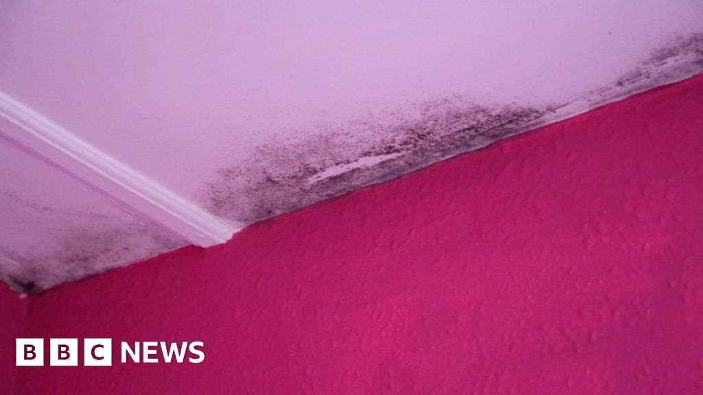 Fuel poverty: An anatomy of a cold home - BBC News