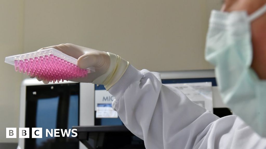 Russians' DNA taken by foreign agents, Kremlin says - BBC News