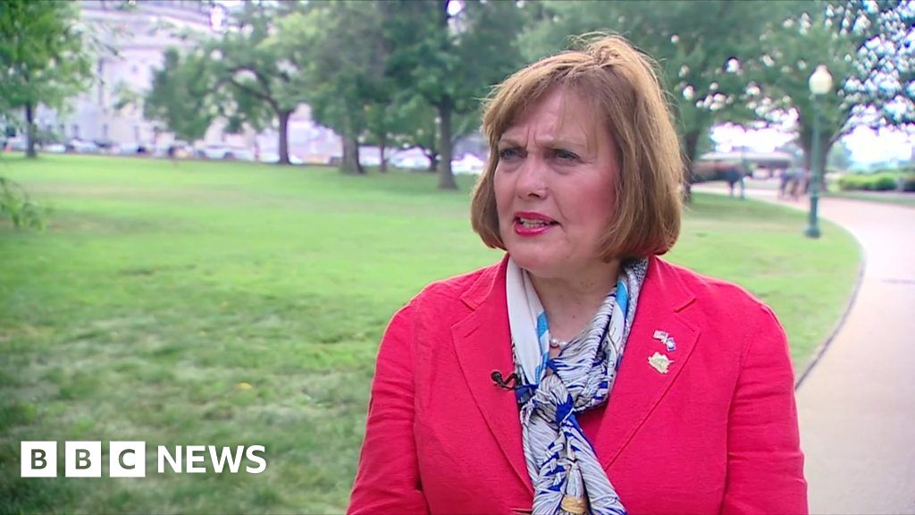 US election: The female Trump delegate - BBC News