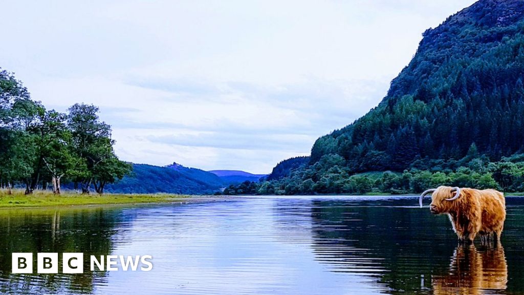 Your pictures of Scotland: 10 - 17 August - BBC News