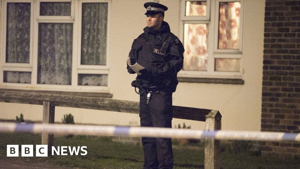 Sompting 'handgun' incident ends with baton round