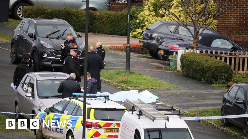 Crawley Down: Double murder suspect in 'unstable' condition - BBC News