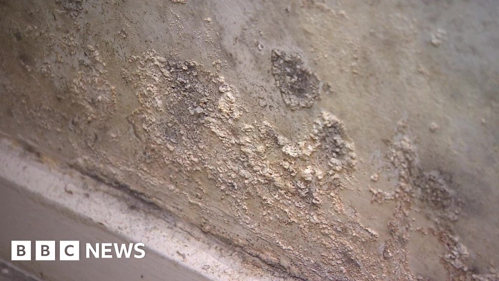 Couple's nine-month wait for damp house to be fixed - BBC News