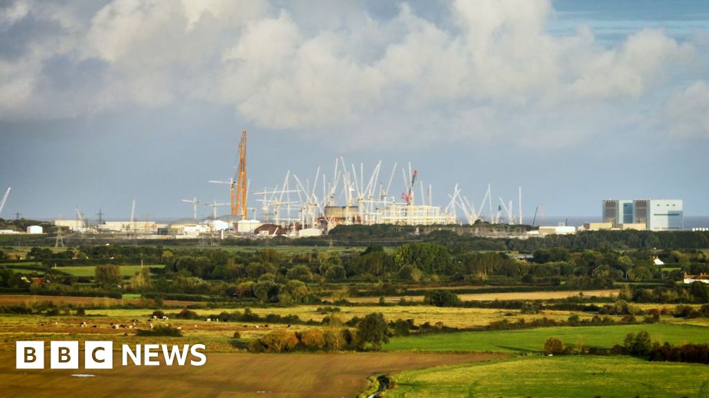 Hinkley C: Inquiry to be held into plant's environmental impact - BBC News