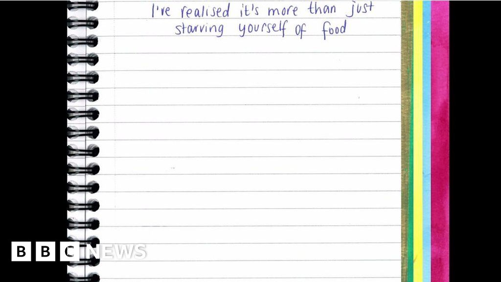 Maya's anorexia diary