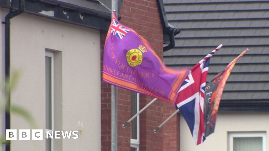 Belfast council passes paramilitary flags motion - BBC News