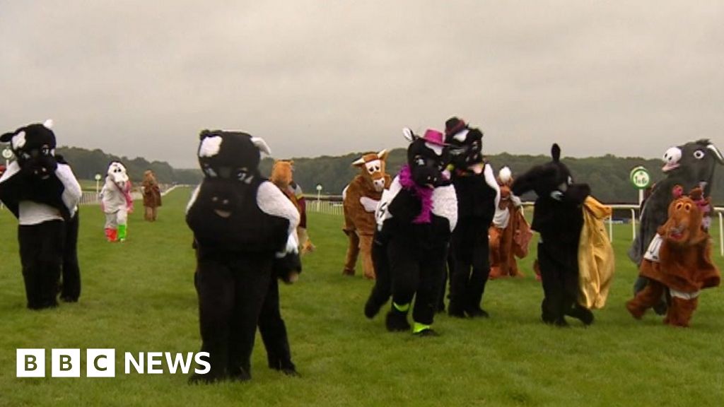 Newcastle Racecourse panto animals gallop into record books - BBC News