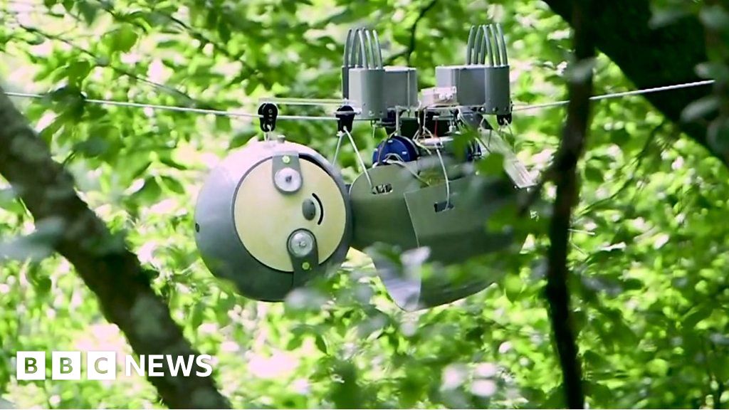 SlothBot robot monitors animals and other news - BBC News