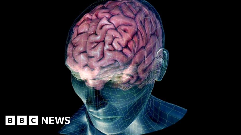 How your brain decides what it sees - BBC News